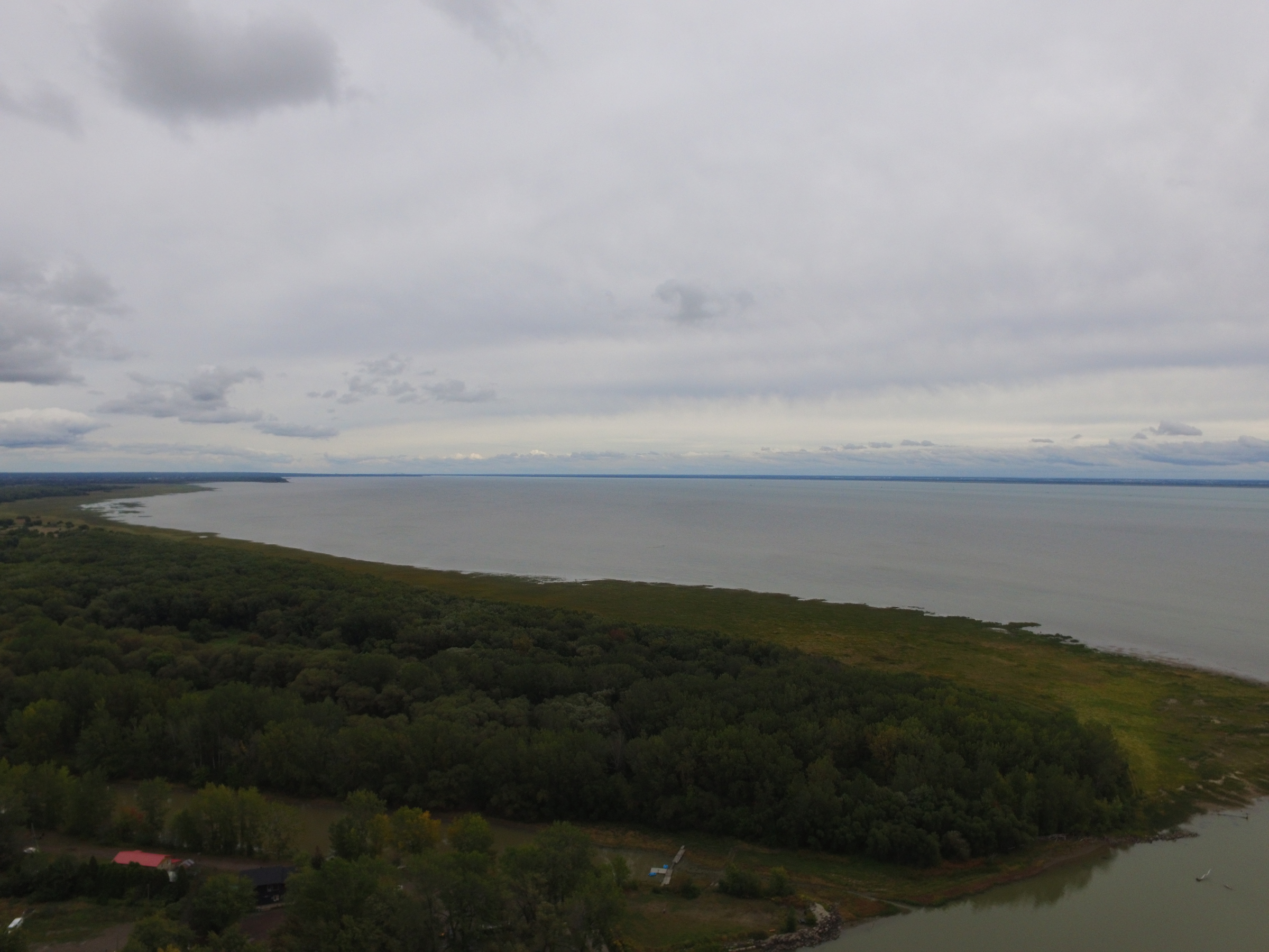 Plus de 635 000 $ pour la conservation du lac Saint-Pierre - L'Écho de ...