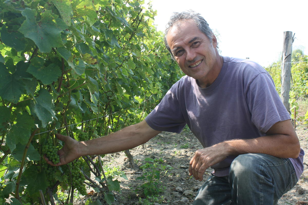 Le Vignoble et Domaine Beauchemin est inauguré - L’Écho de Maskinongé