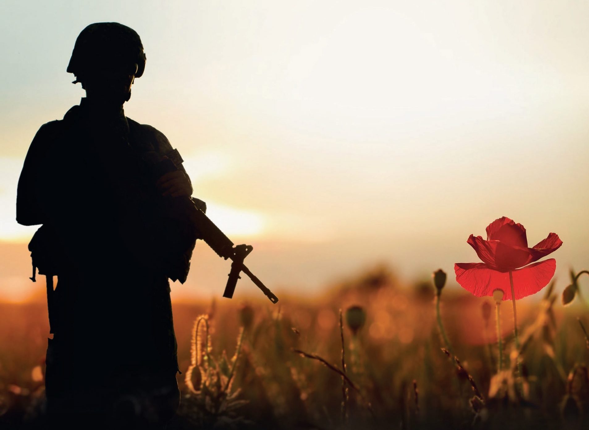 Jour du Souvenir: en hommage à nos vétérans - L’Écho de Maskinongé