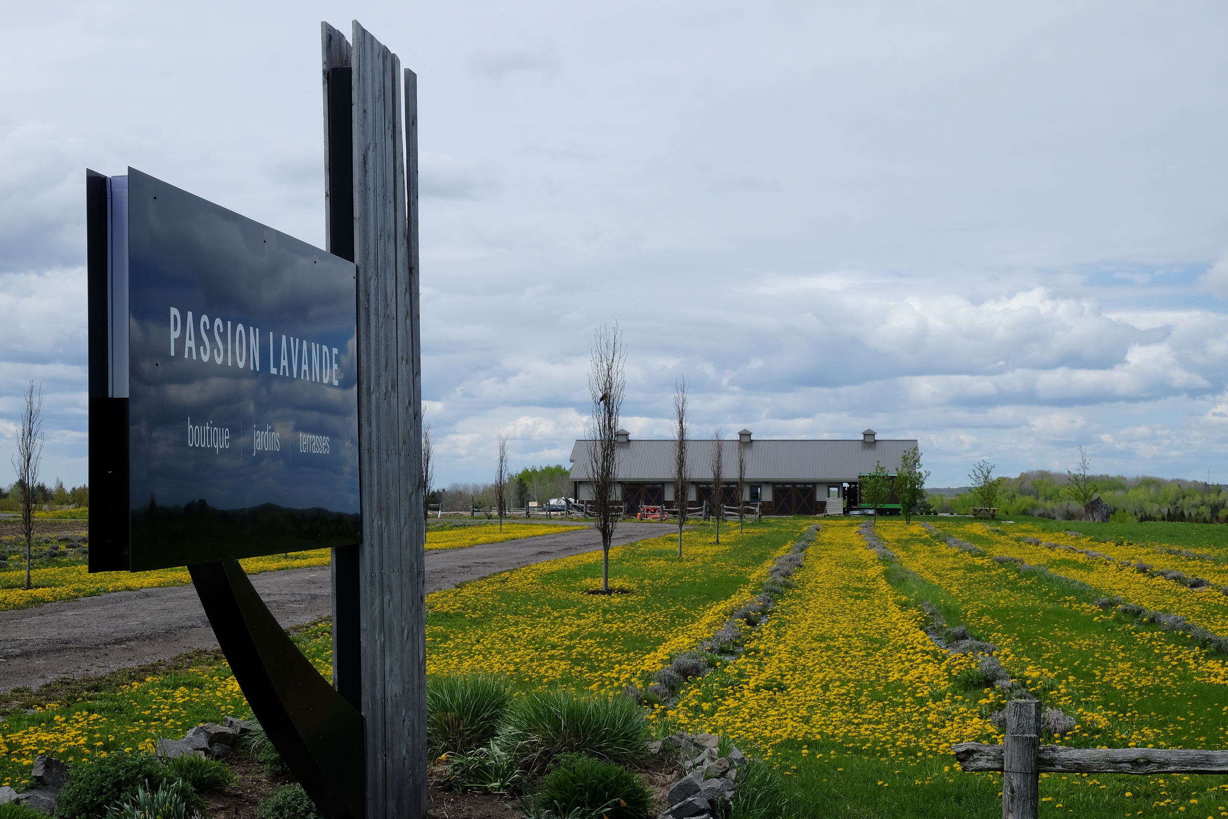Les produits de Passion Lavande entrent au SPA Le Baluchon - L’Écho de ...