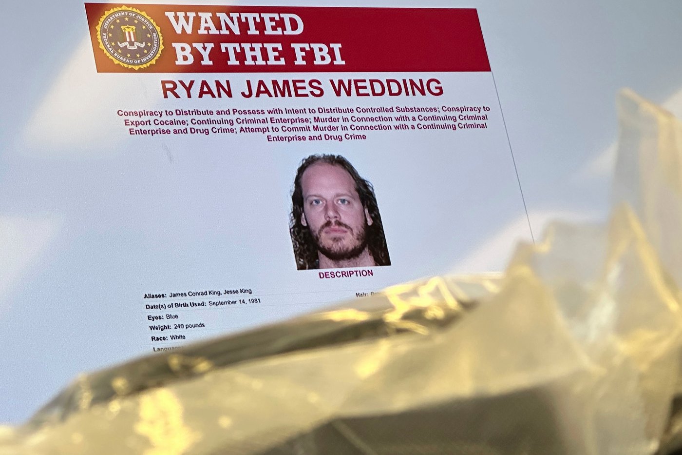 Le directeur du FBI confirme l'arrestation du Canadien Ryan Wedding - L ...