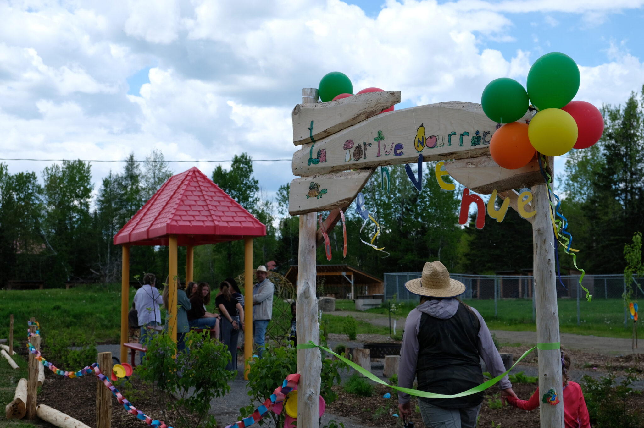 Une forêt nourricière prend racine à l'école de la Tortue-des-Bois - L ...
